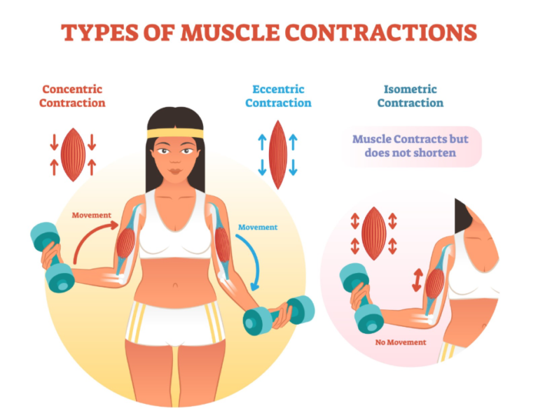 Rebuilding Strength After Sports Injury