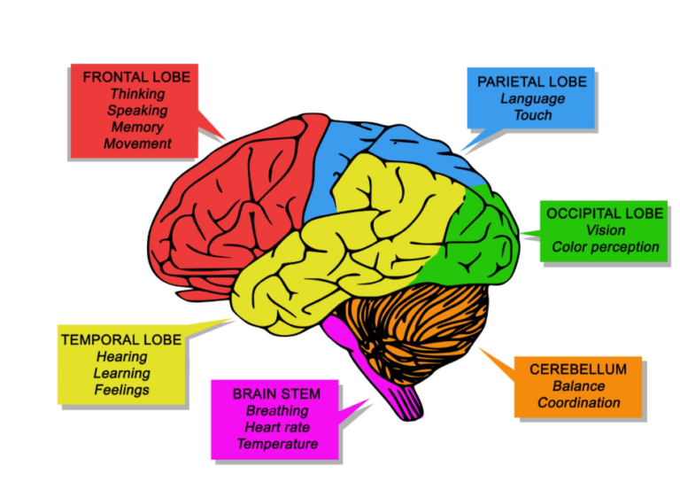 Can a Brain Tumour Occur Without Symptoms? UK Guide